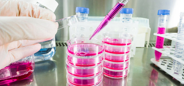 Molecular diagnostics in oncology: targeted, quality assured, integrated