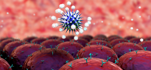 The battle between virus and host cell observed live
